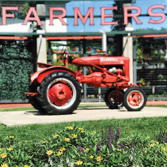 A Guide to Our Favorite Farmers Markets in DFW - Plano Magazine